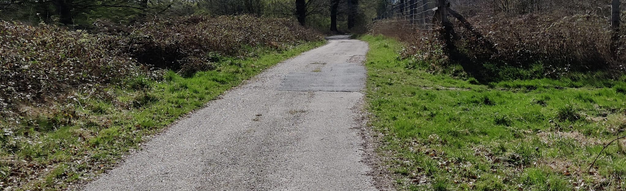 Circuit VTT en Forêt de Roumare : 10 Photos - Seine-Maritime, France ...