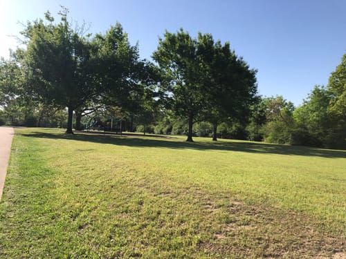 Best Hikes and Trails in Bee Creek Park | AllTrails