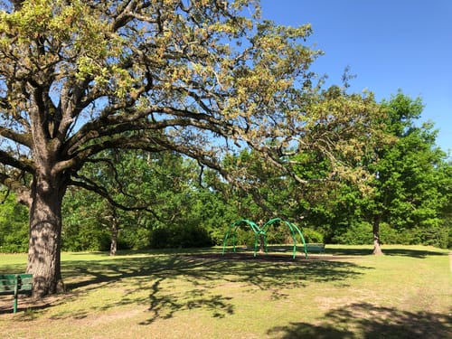 Best Hikes and Trails in Bee Creek Park | AllTrails