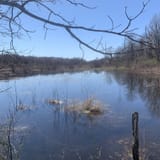 Stewart State Forest Foot Trail, New York - 432 Reviews, Map | AllTrails