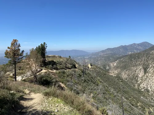 10 Best Trails and Hikes in Altadena | AllTrails