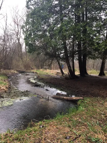 Best Hikes and Trails in Jackson | AllTrails