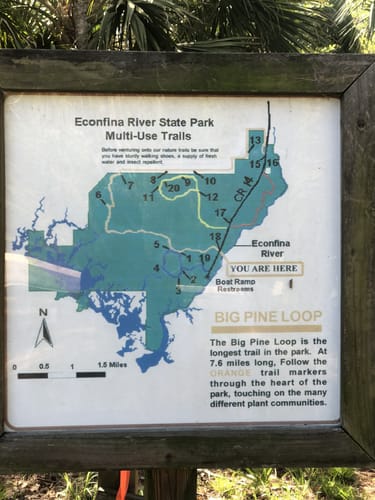 Best Hikes and Trails in Econfina River State Park | AllTrails