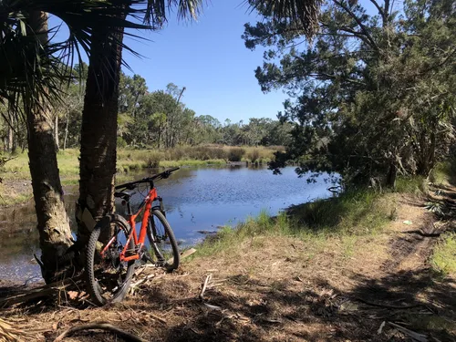 Best Hikes and Trails in Econfina River State Park | AllTrails