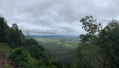 10 Best Walking Trails in Bunya Mountains National Park | AllTrails