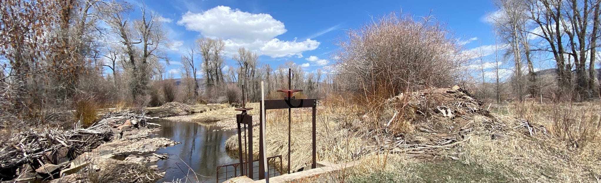 Stevens Grove Trail: 36 Reviews, Map - Utah | AllTrails