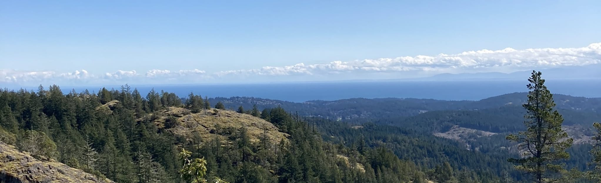 Malcolm Mountain and John Stick Peak trail: 45 Reviews, Map - British ...