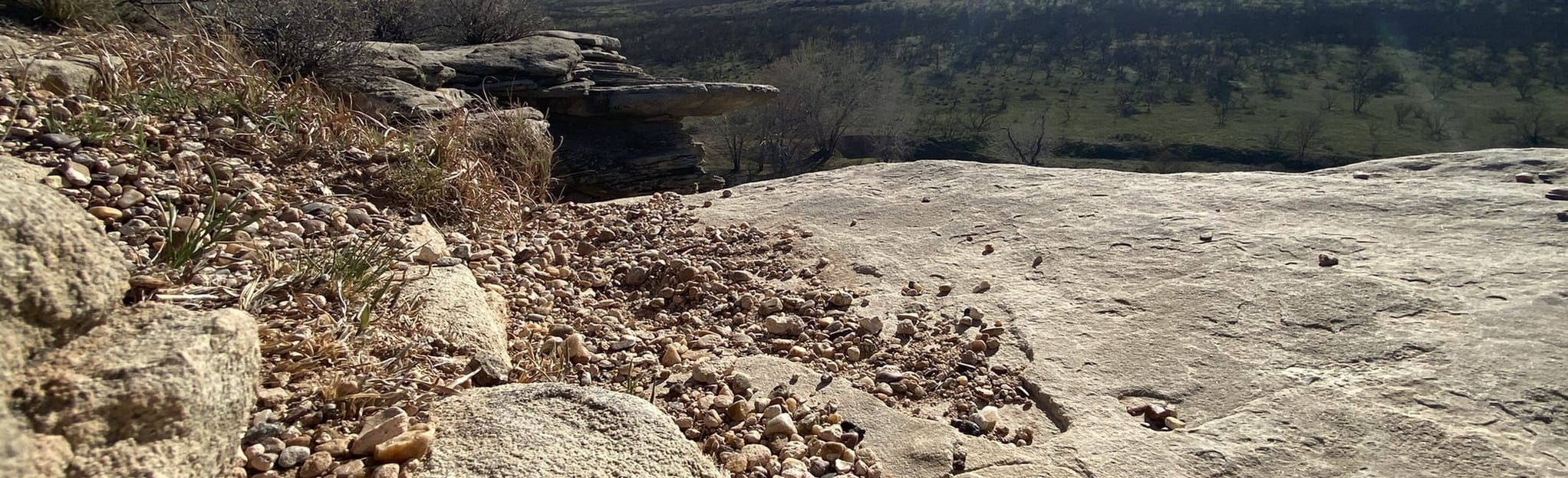 Lower Bluff Trail, Texas - 7 Reviews, Map | AllTrails