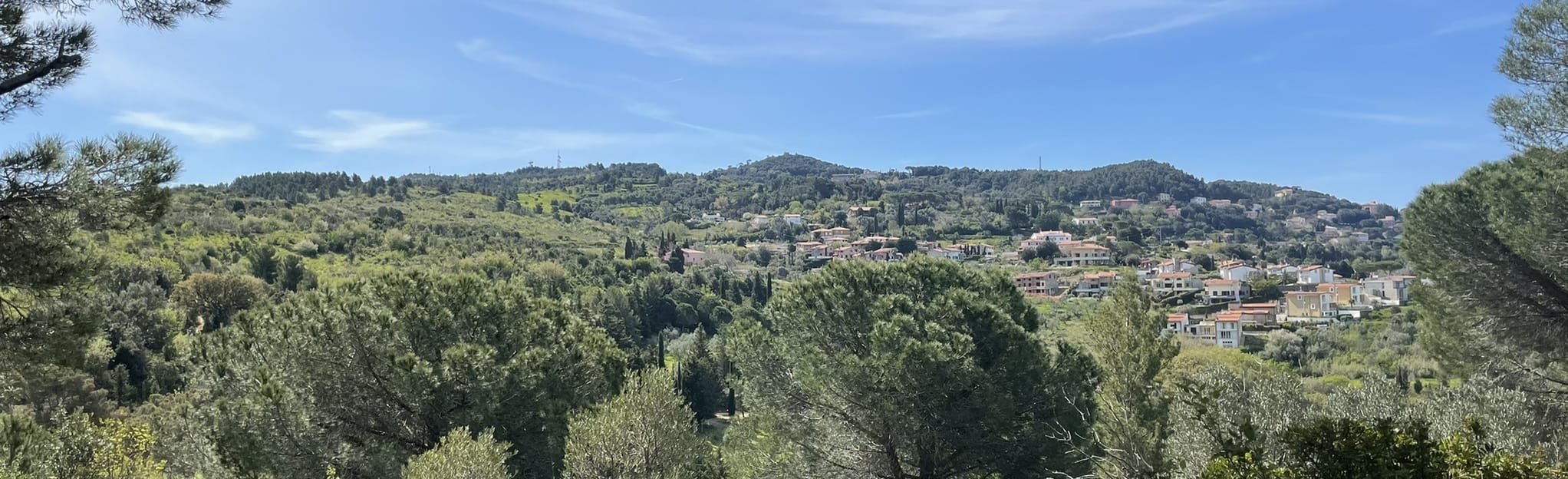 Monte Rotondo - Savolano, Tuscany, Italy - 3 Reviews, Map | AllTrails