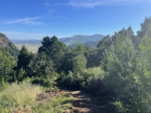 10 Best Trails and Hikes in Hogsback | AllTrails