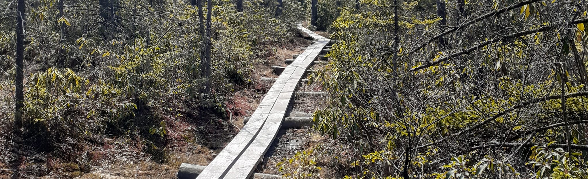 Lindy Run, Plantation, Fire Trail #6, Pointy Knob, and Canaan Trail ...