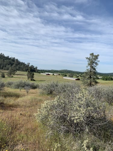 Best Hikes and Trails in Red Hills Recreation Management Area | AllTrails