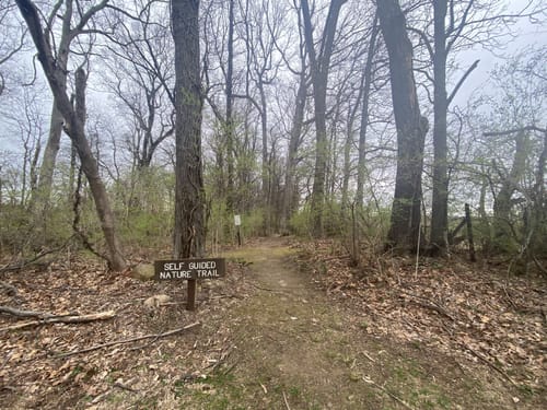 Best Hikes and Trails in Louise W. Moore County Park | AllTrails Best Hikes and Trails in Louise W. Moore County Park | AllTrails