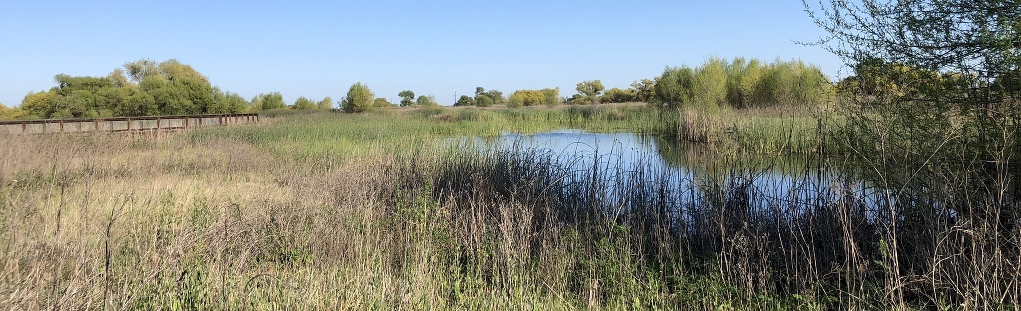 Wetland Trail, California - 41 Reviews, Map | AllTrails