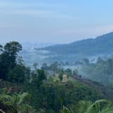 Bukit Lagong Trail, Selangor, Malaysia - 16 Reviews, Map | AllTrails