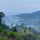 Bukit Lagong Trail, Selangor, Malaysia - 16 Reviews, Map | AllTrails