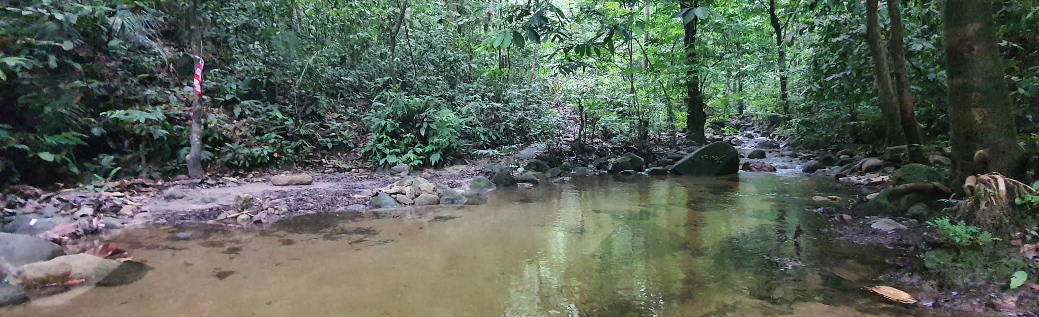 Perdik Falls, Selangor, Malaysia - 28 Reviews, Map | AllTrails