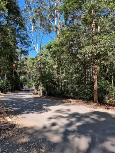 10 Best Trails and Hikes in Mount Mee | AllTrails