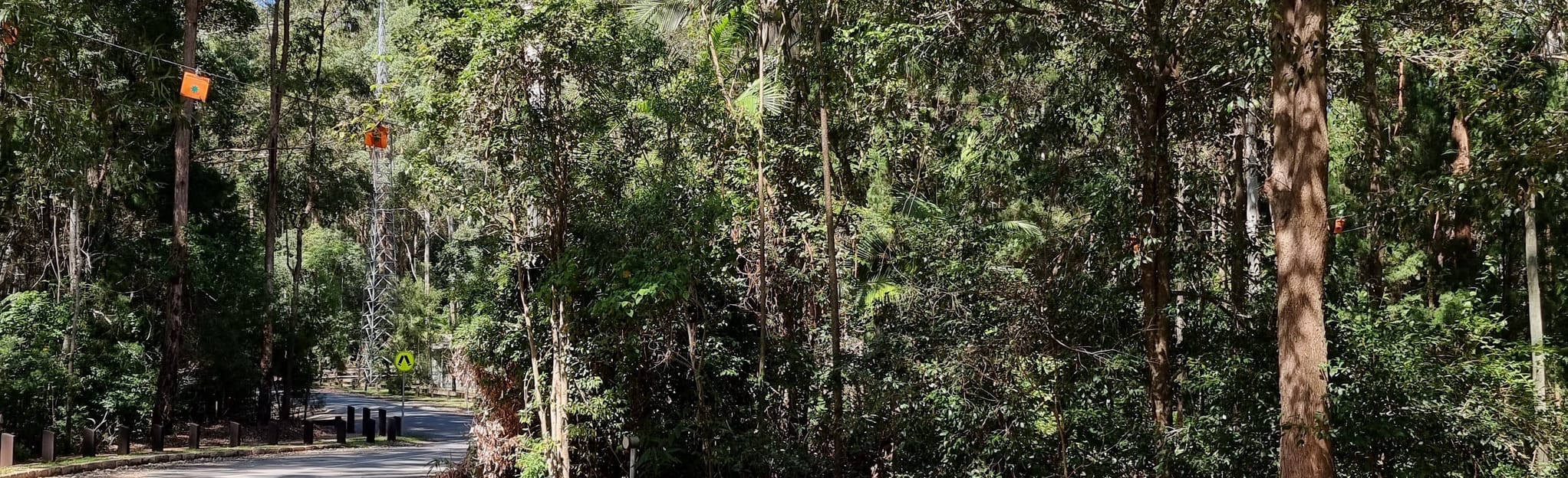 Mount Mee Forest Drive, Queensland, Australia - 9 Reviews, Map | AllTrails