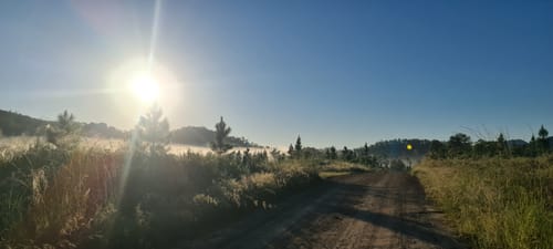 Best Hikes and Trails in Cathu State Forest | AllTrails