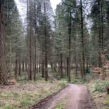 Center Parcs Longleat Forest Circular, Wiltshire, England - 115 Reviews ...