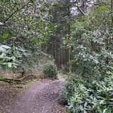 Center Parcs Longleat Forest Circular, Wiltshire, England - 115 Reviews ...