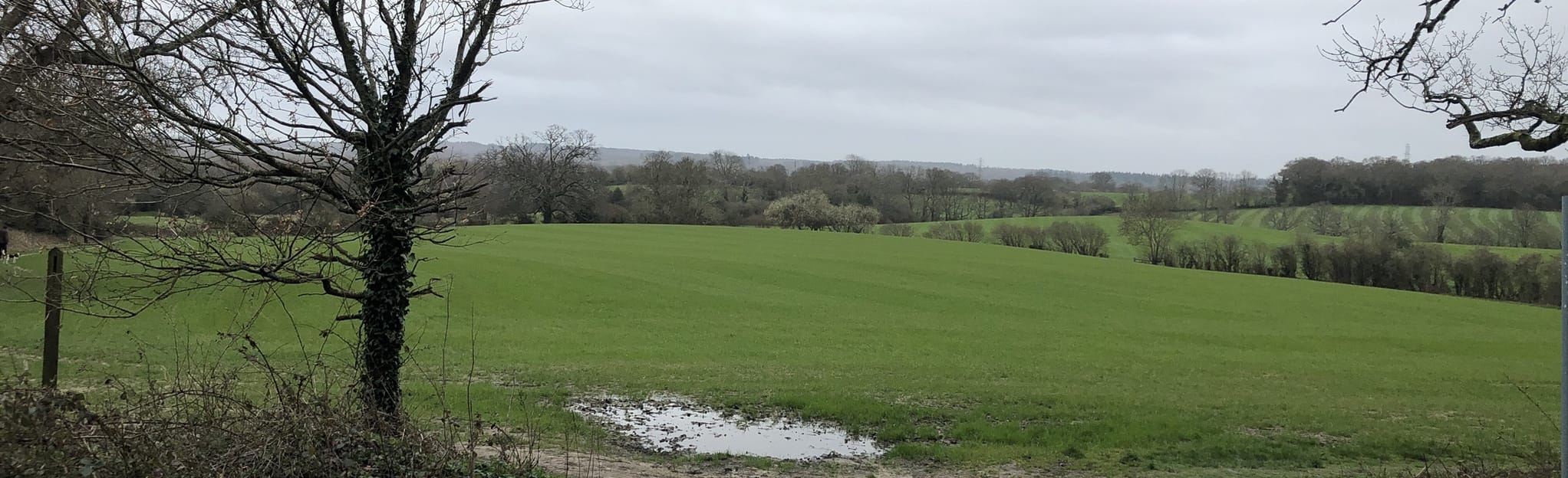 Copythorne Common and Tatchbury Mount, Hampshire, England - 5 Reviews ...