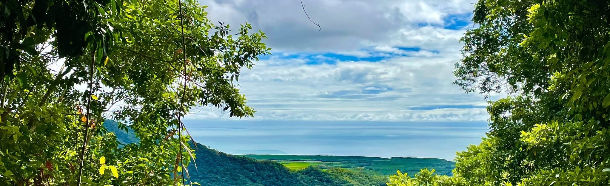 The Bump Track, Queensland, Australia - 58 Reviews, Map | AllTrails