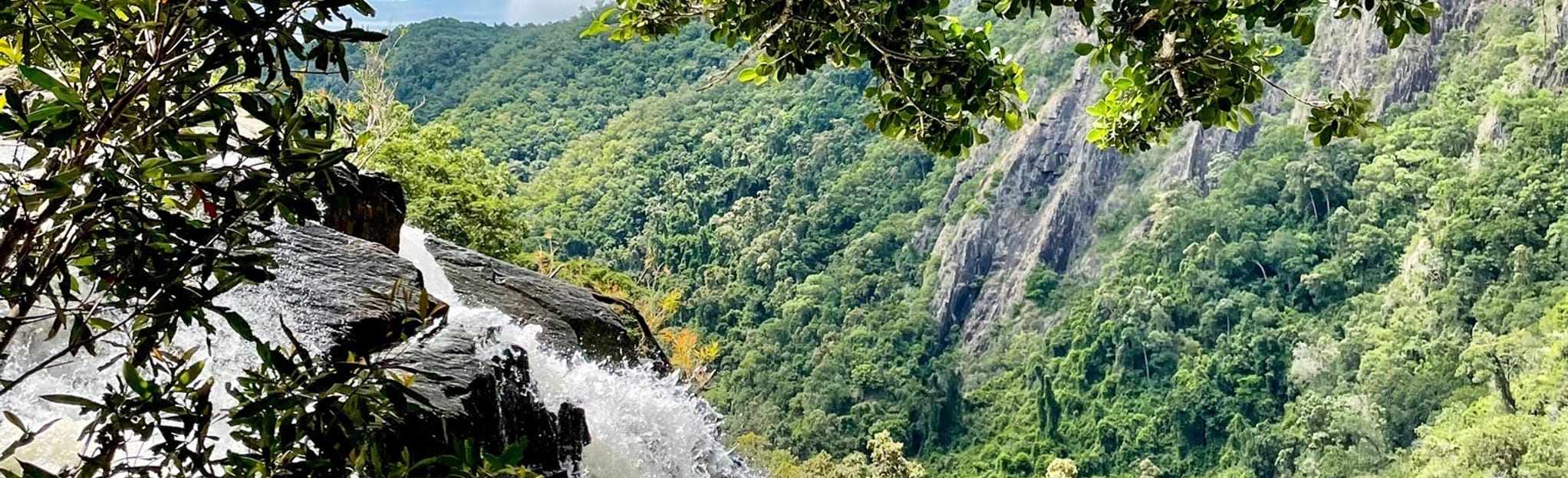 Mowbray Falls via Bump Track - Queensland, Australia | AllTrails
