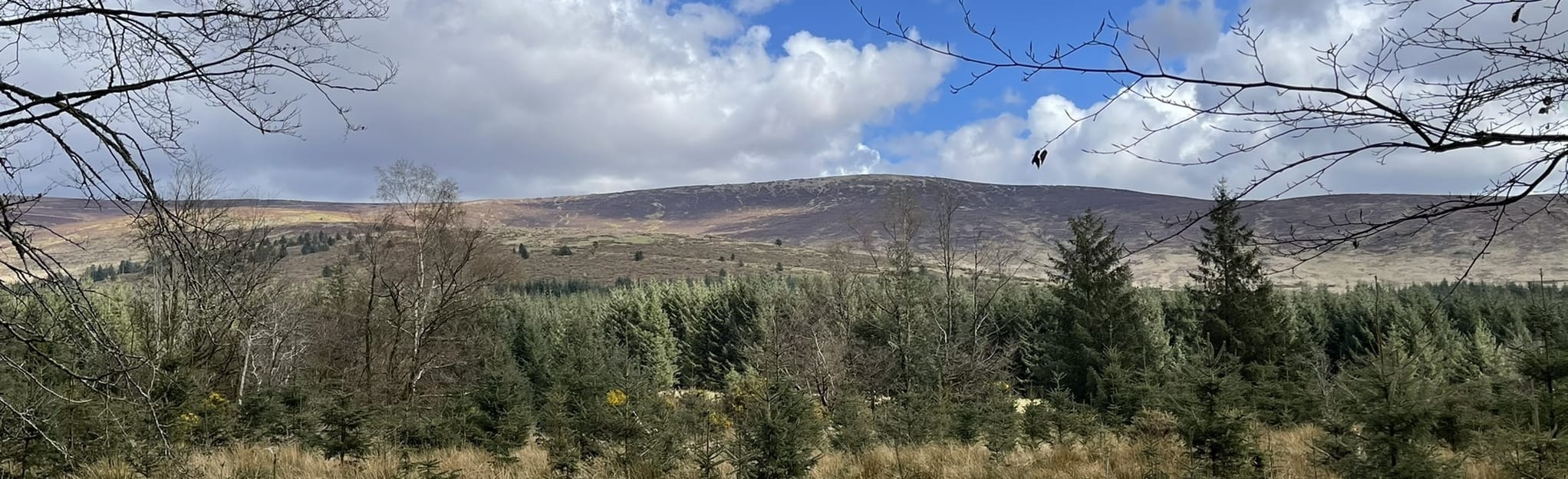 Cavanagh's Camp Loop, County Wicklow, Ireland - 23 Reviews, Map | AllTrails