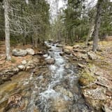 Jordan Stream Path, Maine - 119 Reviews, Map | AllTrails