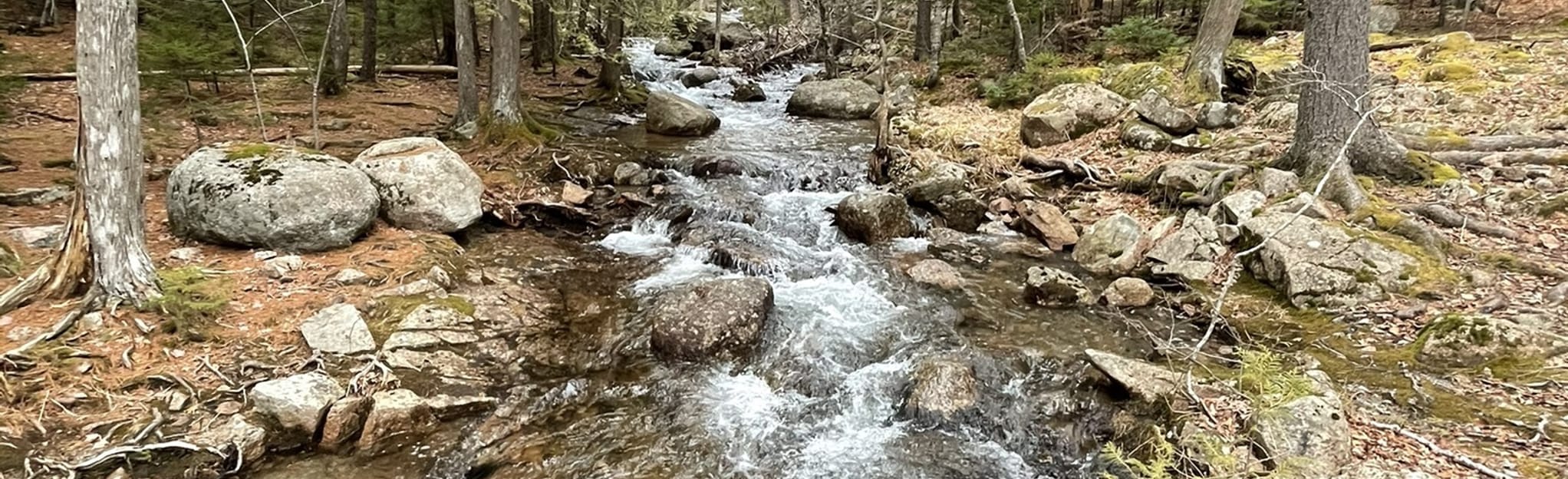 Jordan Stream Path, Maine - 119 Reviews, Map | AllTrails