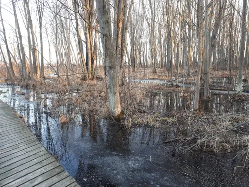 10 Best Walking Trails in Simcoe County Forest | AllTrails