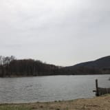 Lindsay-Parsons Biodiversity Preserve Trails, New York - 122 Reviews ...