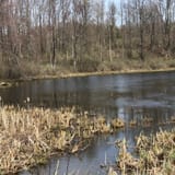 Lindsay-Parsons Biodiversity Preserve Trails, New York - 122 Reviews ...