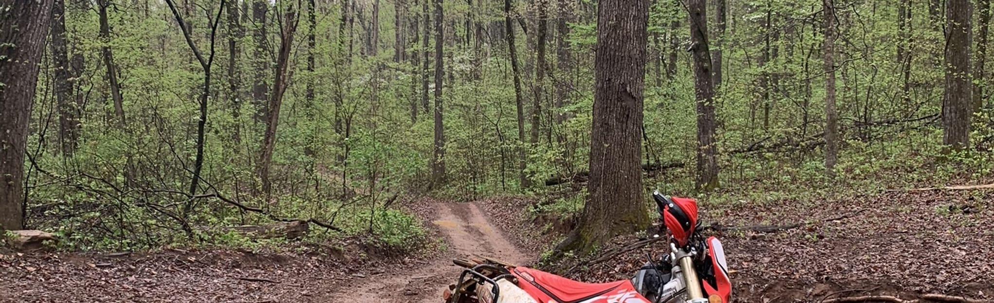 Houston Valley OHV Route: 15 Reviews, Map - Georgia | AllTrails
