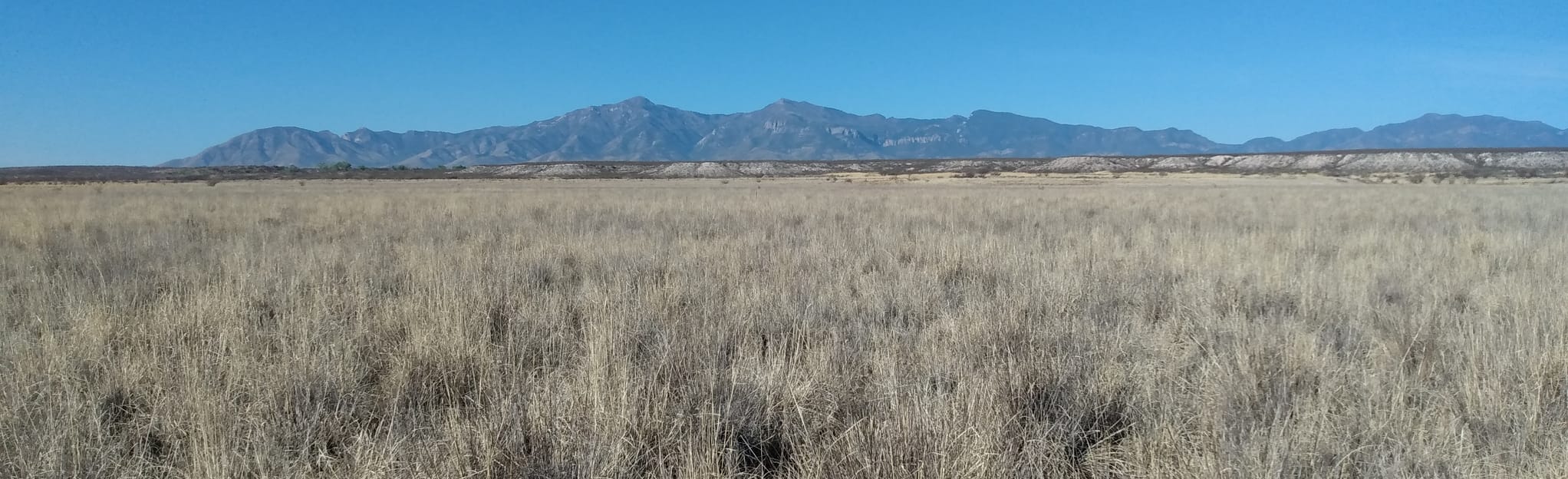 San Pedro River Trail from Murray Springs | Map, Guide - Arizona ...