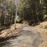 Quabbin Reservoir Gates 11-12 Loop Trail, Massachusetts - 199 Reviews ...