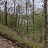 Lake Winona Scenic Drive, Arkansas - 13 Reviews, Map | AllTrails