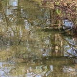 Lewis Ginter Botanical Garden, Virginia - 114 Reviews, Map | AllTrails