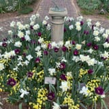 Lewis Ginter Botanical Garden, Virginia - 114 Reviews, Map | AllTrails