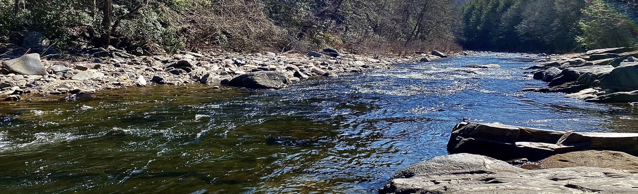 Chesterfield Gorge Trail: 221 Reviews, Map - Massachusetts | AllTrails