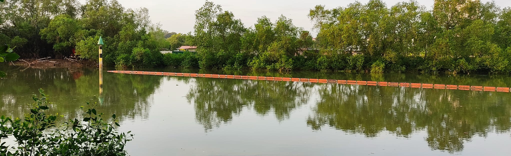 Mutiara Rini Lake: 23 Reviews, Map - Johor, Malaysia | AllTrails