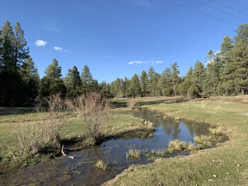 10 Best Hikes and Trails in Apache Sitgreaves National Forest | AllTrails
