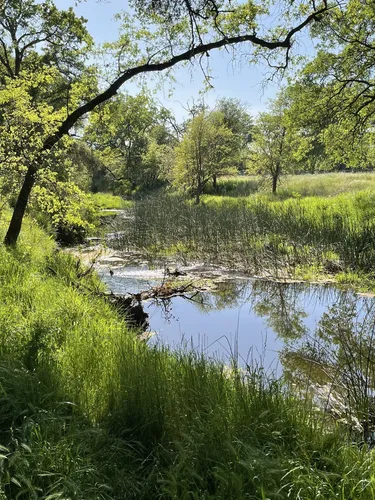 10 Best Trails and Hikes in Roseville | AllTrails