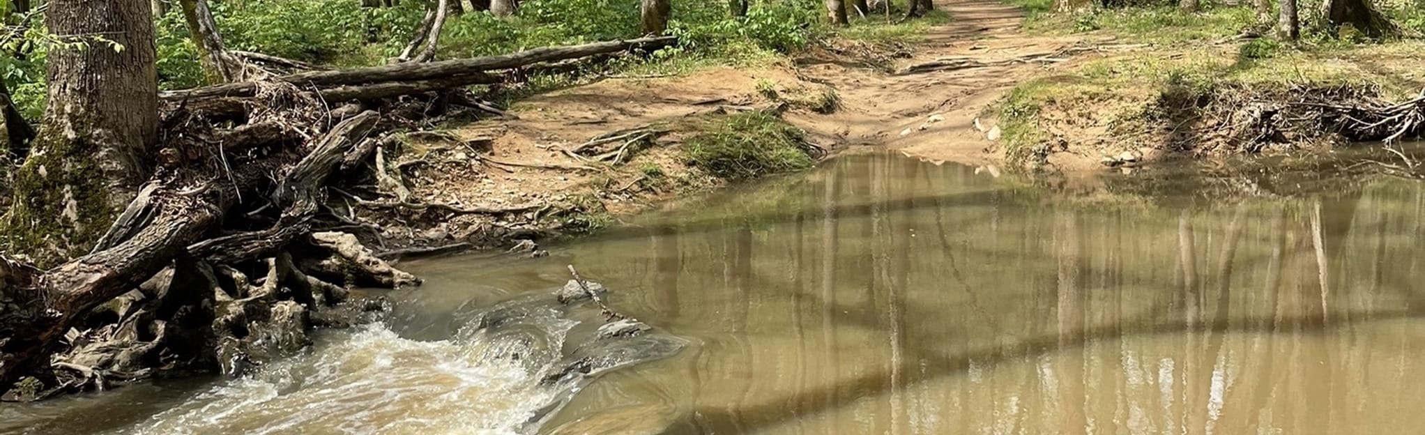 Knight Trail - Fieldstone Loop | Map, Guide - North Carolina | AllTrails