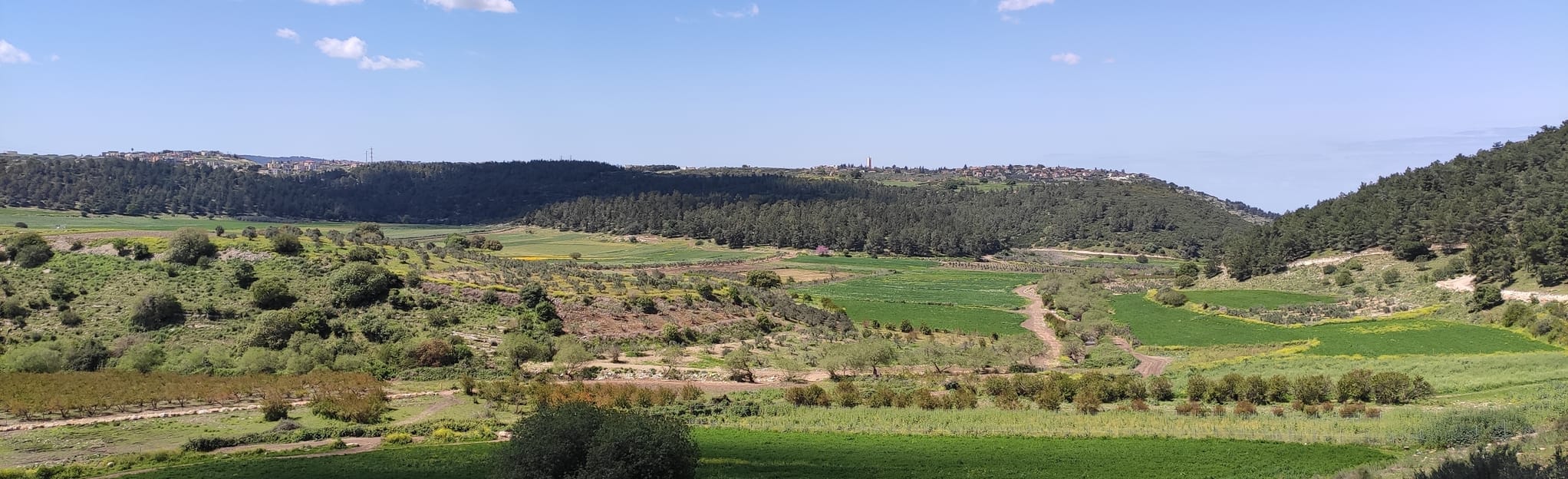 Kiryat Ata Forest, Ras Ali and Harduf, Northern District HaZafon ...