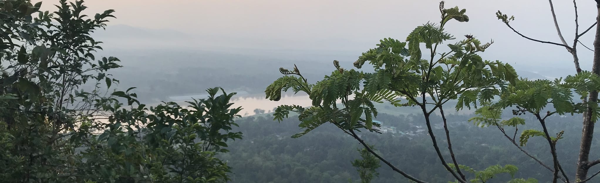 Bukit Panau Loop: 48 foto's - Kelantan, Maleisië | Wandelen - AllTrails