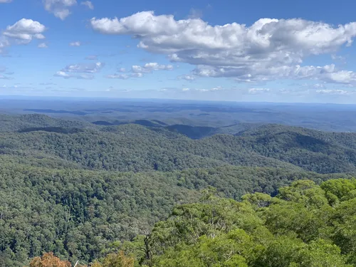 Best Walking Trails in Watagan State Forest | AllTrails