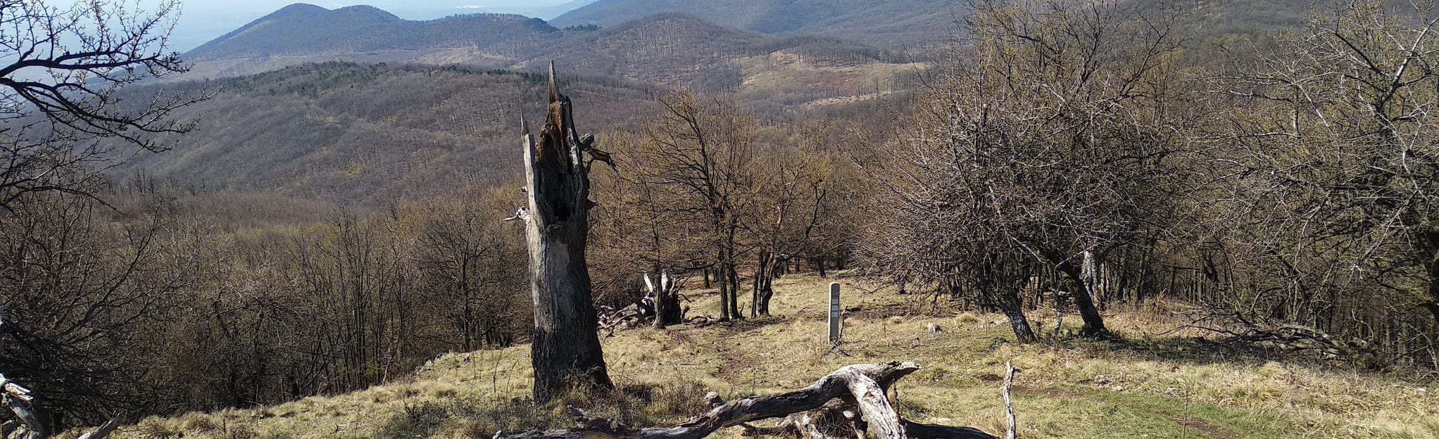Hungarian National Blue Trail (OKT): Stage 21: Mátraháza - Sirok: 7 ...